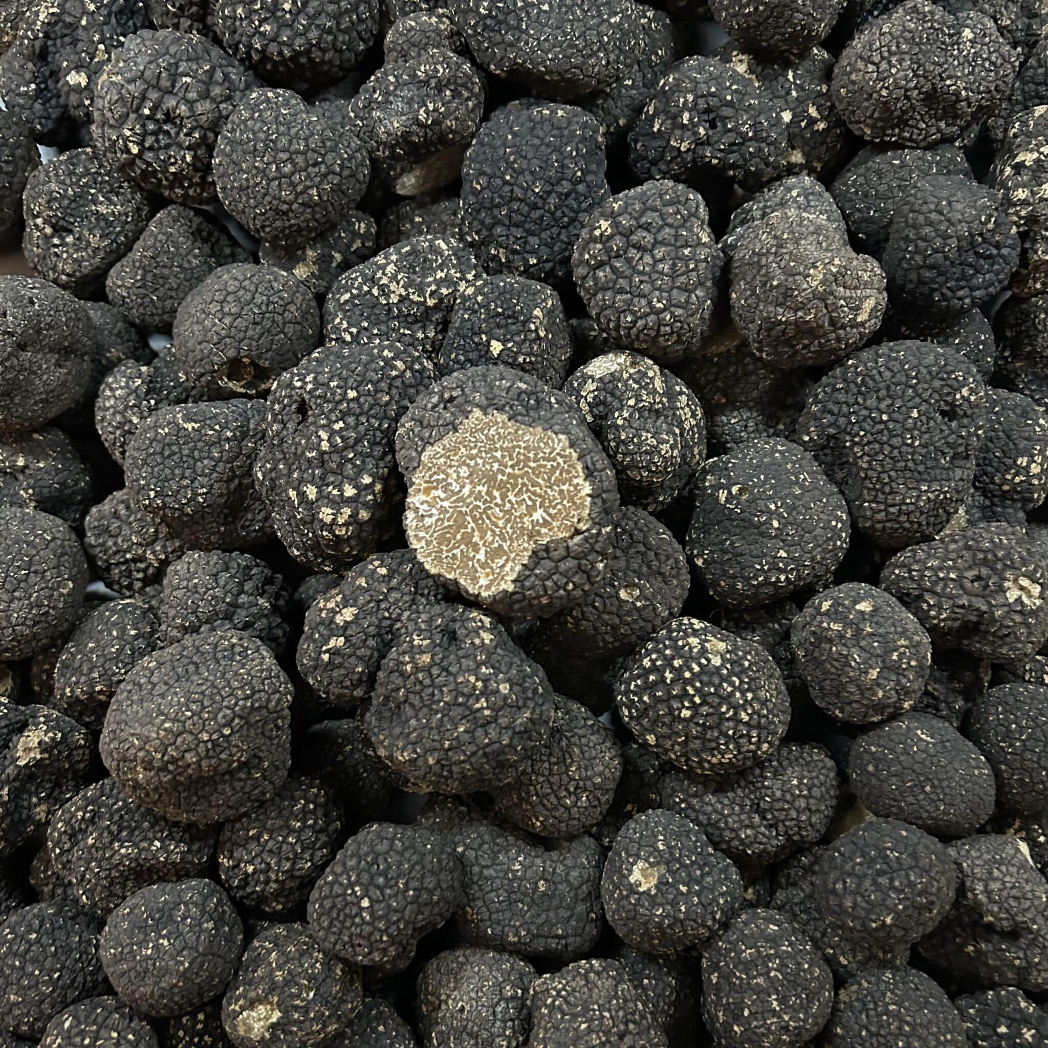 Fresh Black Autumn Truffles - The Truffle Company